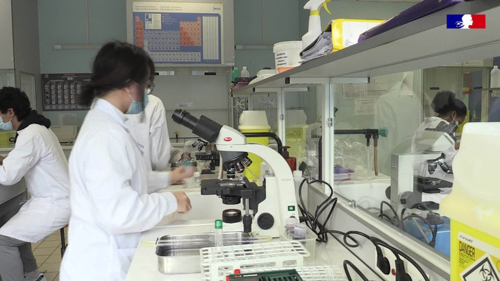 Bac Stl Biologie Amiens _ Liste des lycées – XEXIF