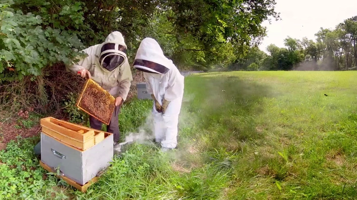 Docu-fiction 360°: apprentie apicultrice - OnisepTV : l’information ...