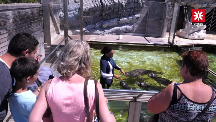 Soigneuse animalière - OnisepTV : l’information pour l’orientation en vidéo
